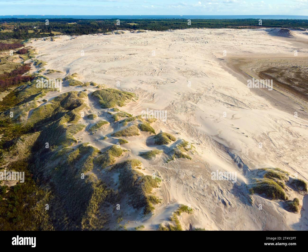 Aerial view, shifting sand dune, Rabjerg Mile, Rabjerg Mile, landscape conservation area ...