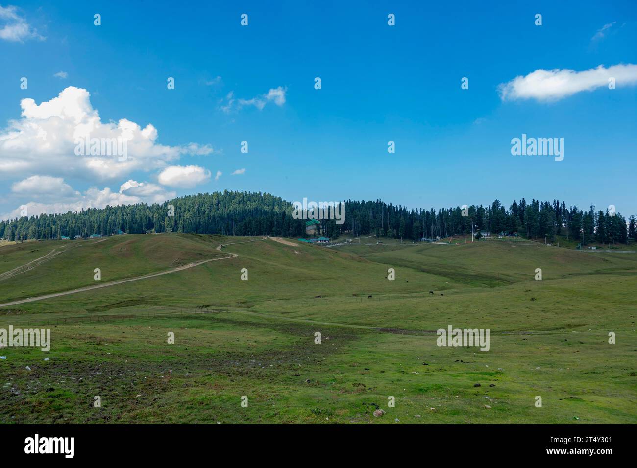 Beautiful mountain view in Gulmarg, Jammu Kashmir, India Stock Photo ...