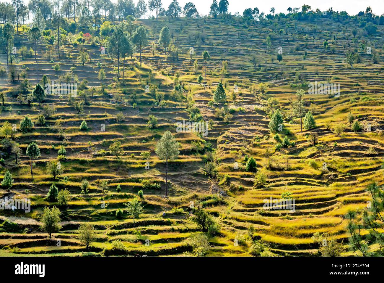 Plain view hi-res stock photography and images - Alamy