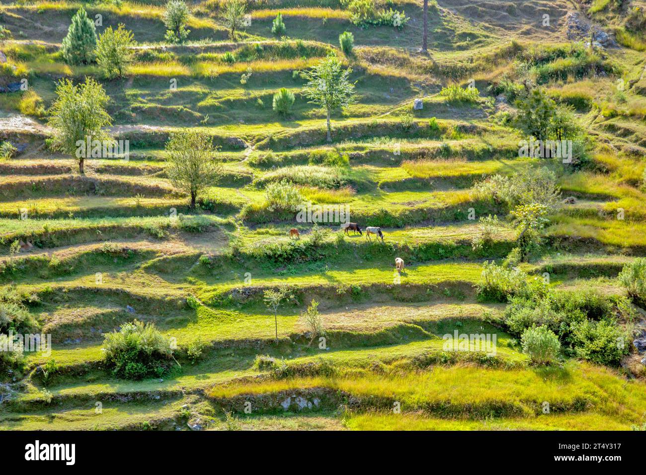 Plain view hi-res stock photography and images - Alamy