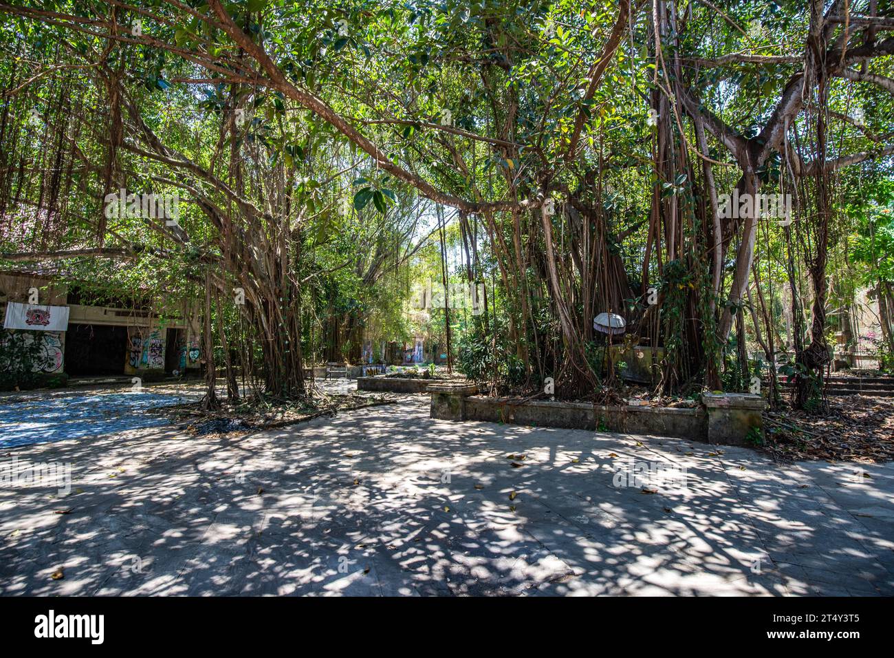 A former water and amusement park reclaimed by nature, Lost Place ...