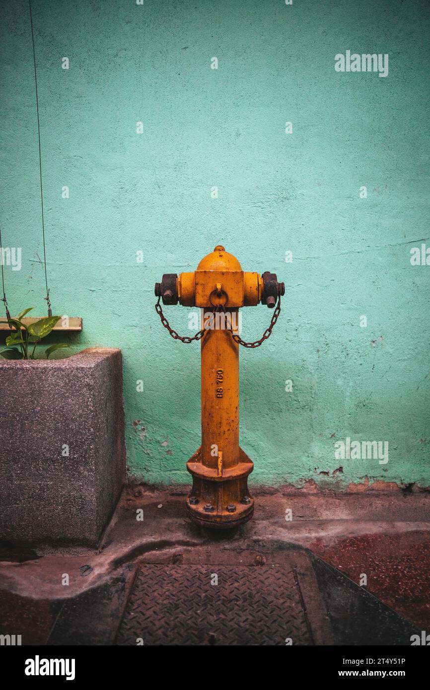A red fire hydrant is visible on a concrete sidewalk in front of a ...