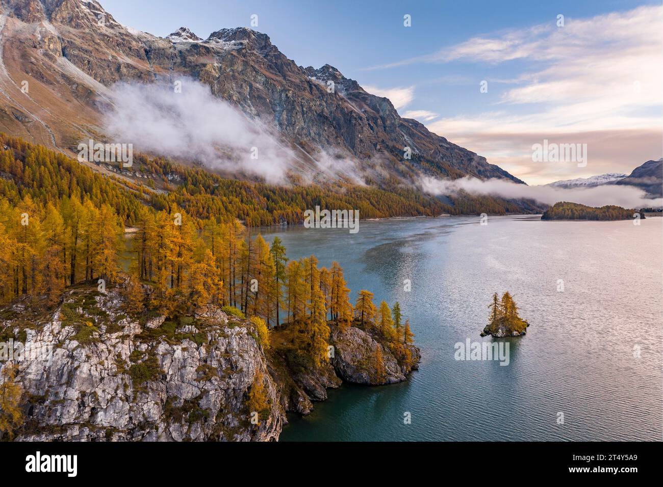 Autumn larch forest with Lake Sils with island, Engadin, Canton Grisons ...