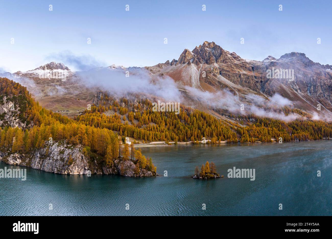 Autumn larch forest with Lake Sils with island, Engadin, Canton Grisons ...