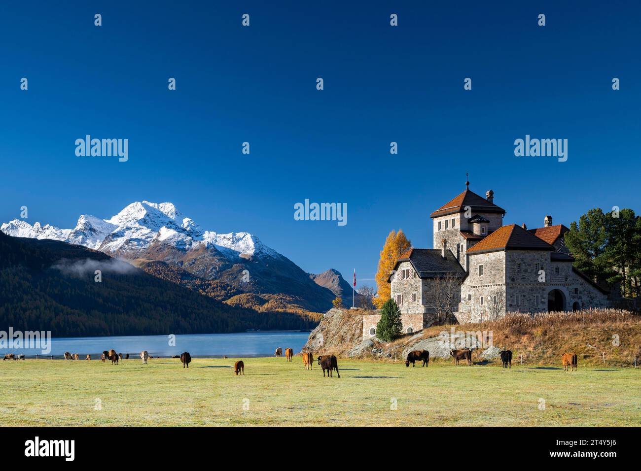 Crap da Sass Castle on Lake Silvaplana near St. Moritz, Engadine ...