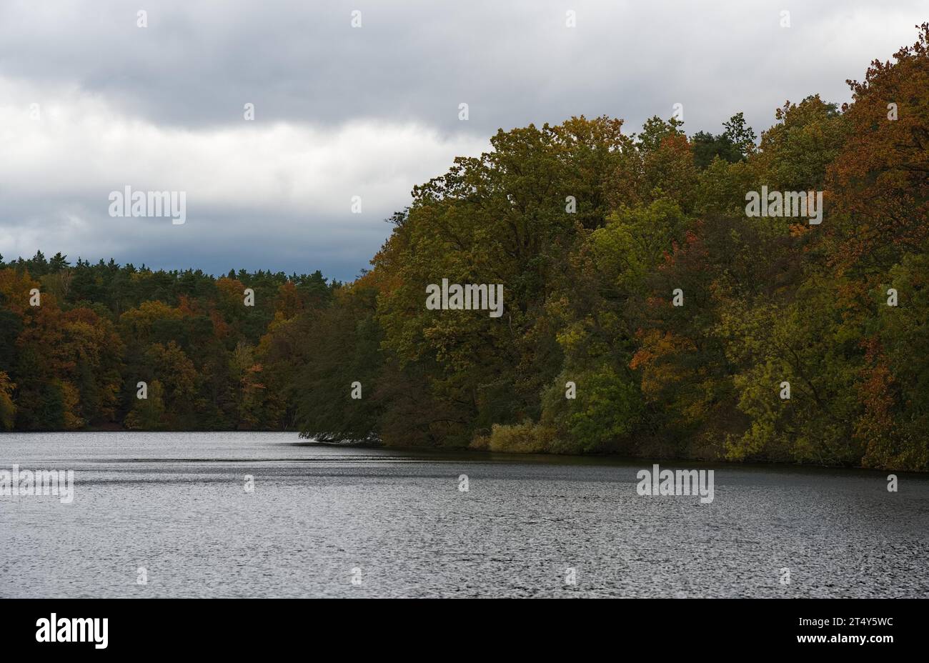 Cloudy autumn at Lake Krumme Lanke, Steglitz-Zehlendorf district ...