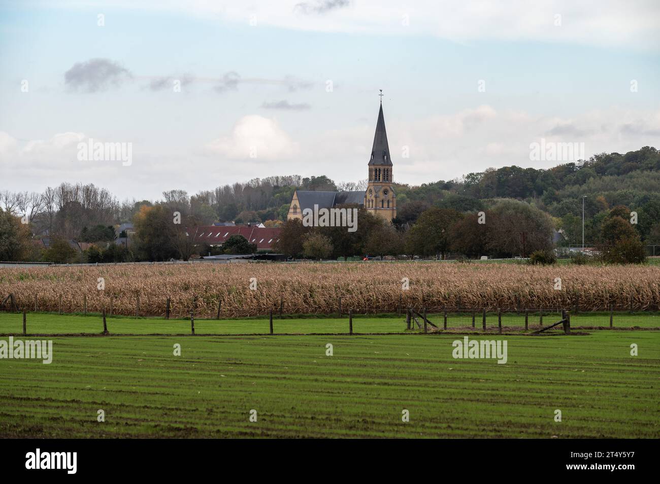 Green and golden agriculture fields at the Flemish countryside around ...