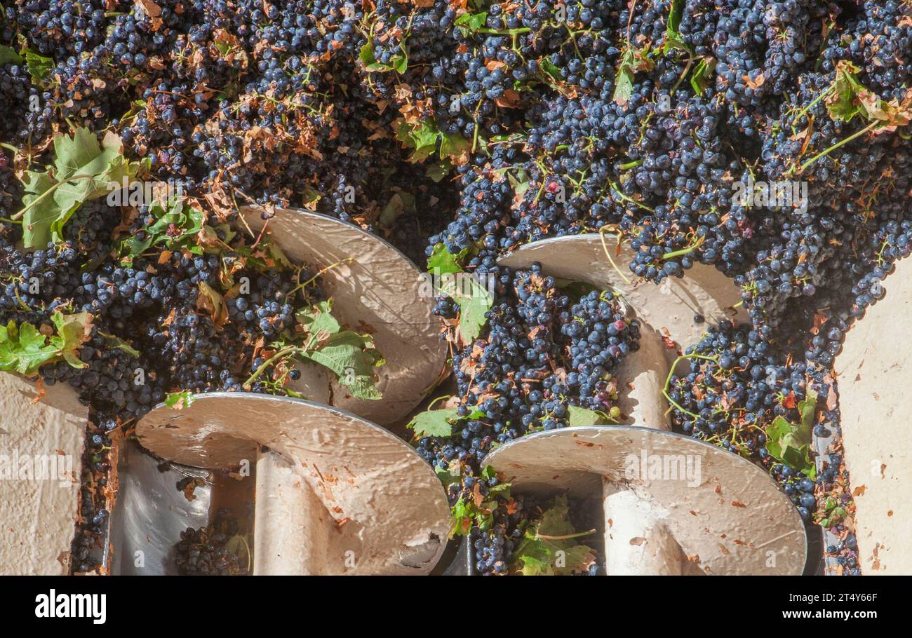 Food transformation process hi-res stock photography and images - Alamy