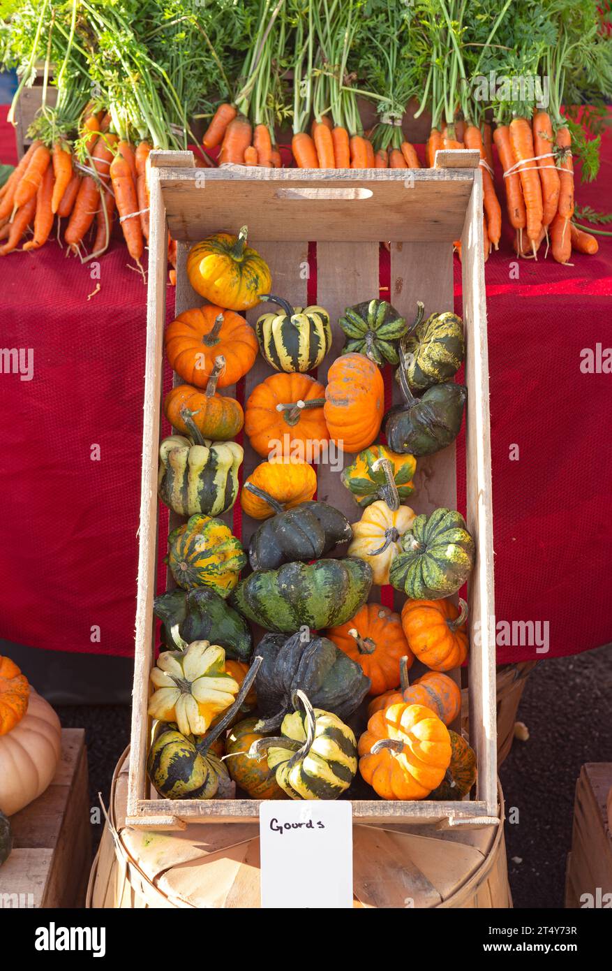 Colorful autumn display of homegrown produce Stock Photo - Alamy
