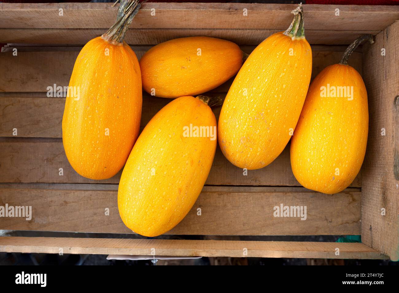 Autumn spaghetti squash in a wooden crate with copy space Stock Photo ...