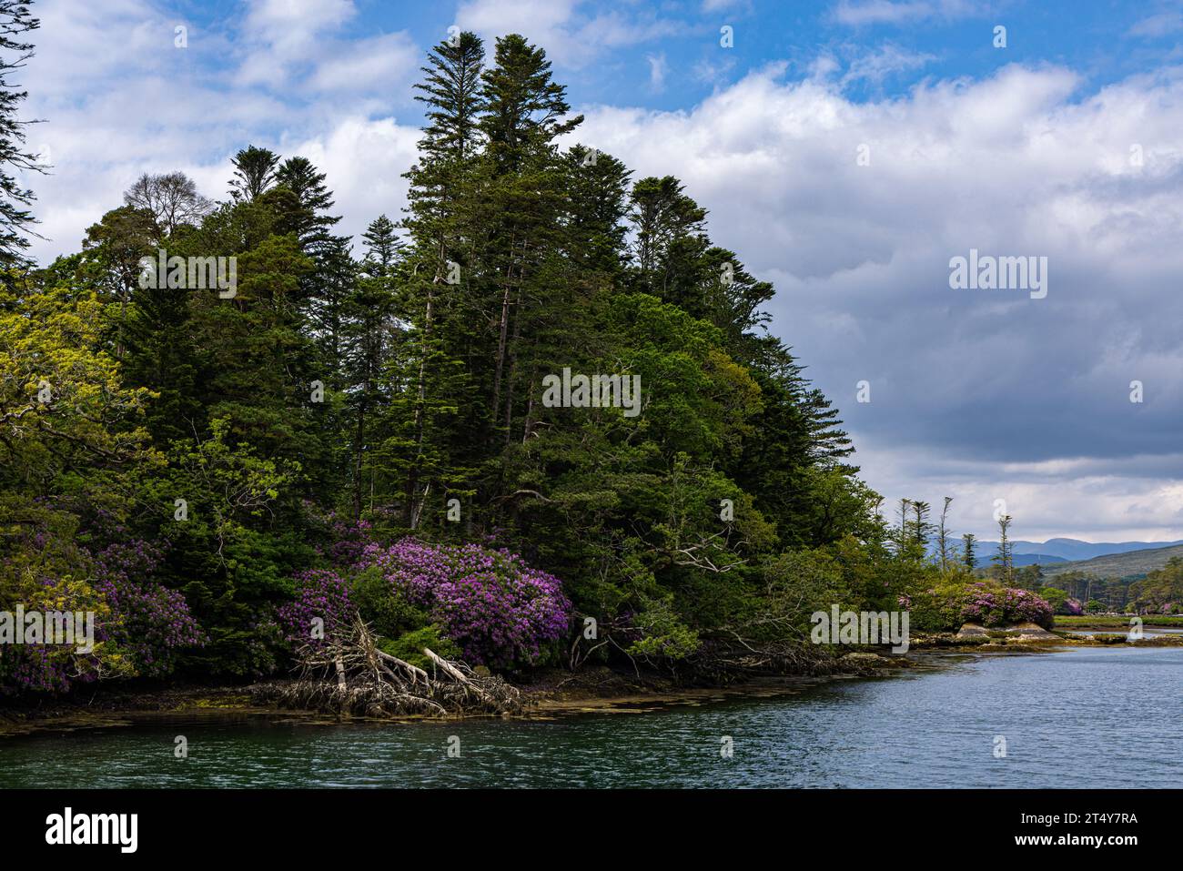 Ring of Beala Stock Photo - Alamy