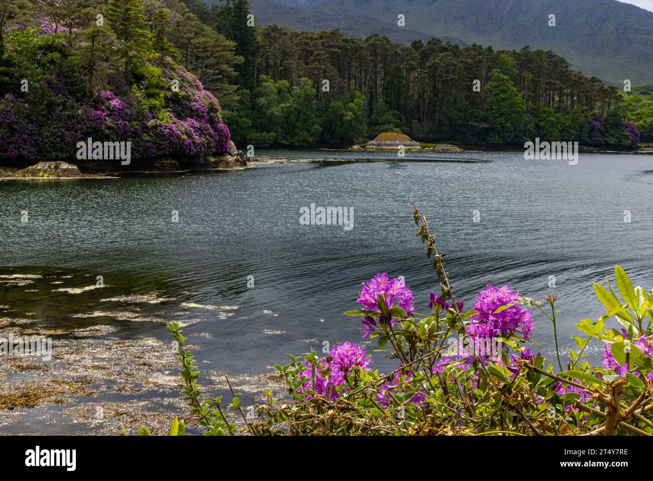 Ring of Beala Stock Photo - Alamy