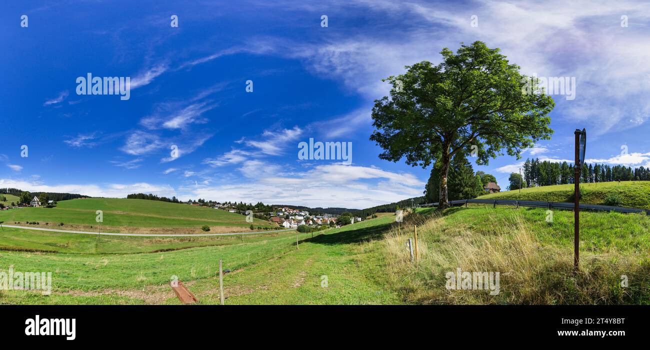 Landscape with ash tree (Fraxinus excelsior) and view of Furtwangen in ...