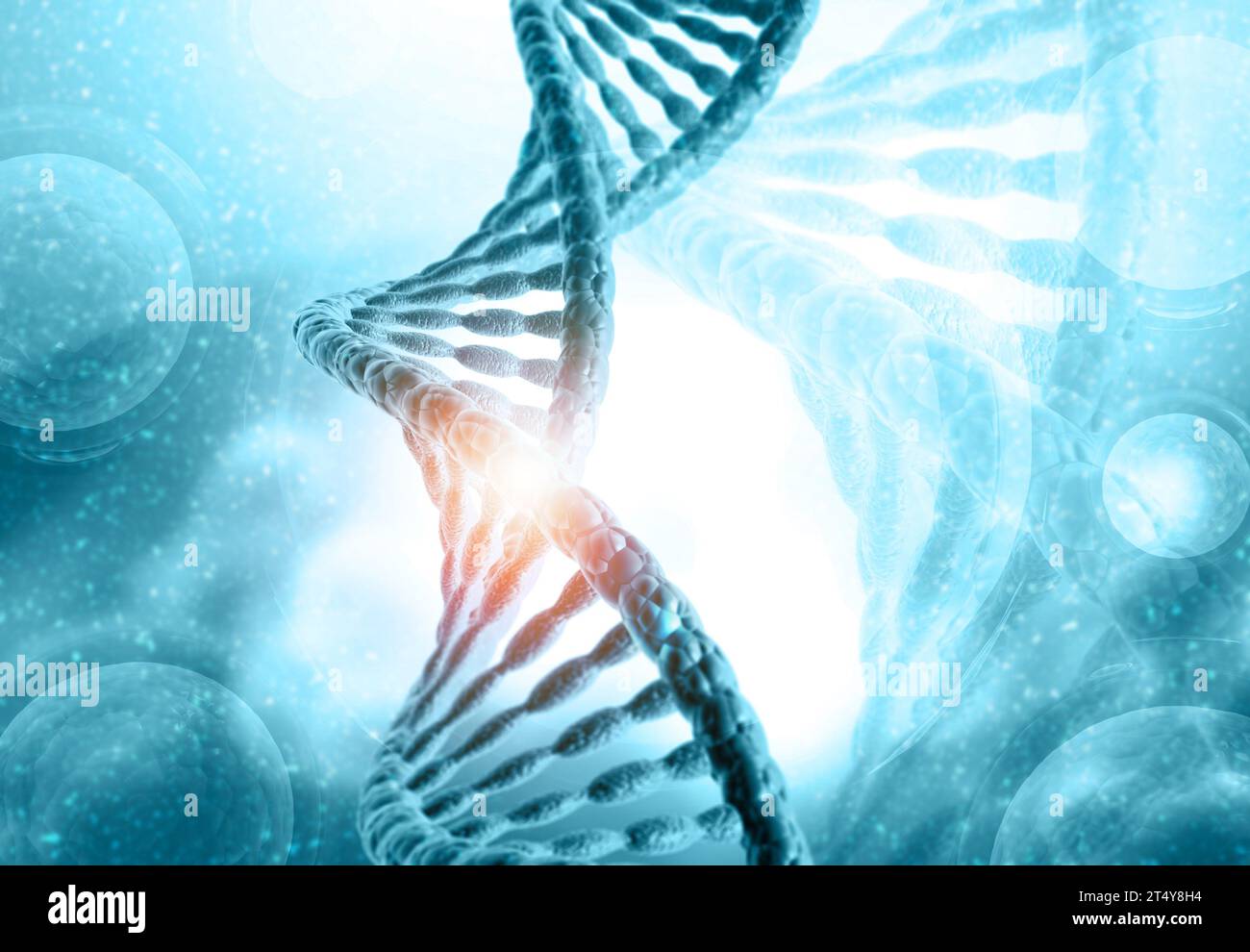 Strands on dna hi-res stock photography and images - Alamy