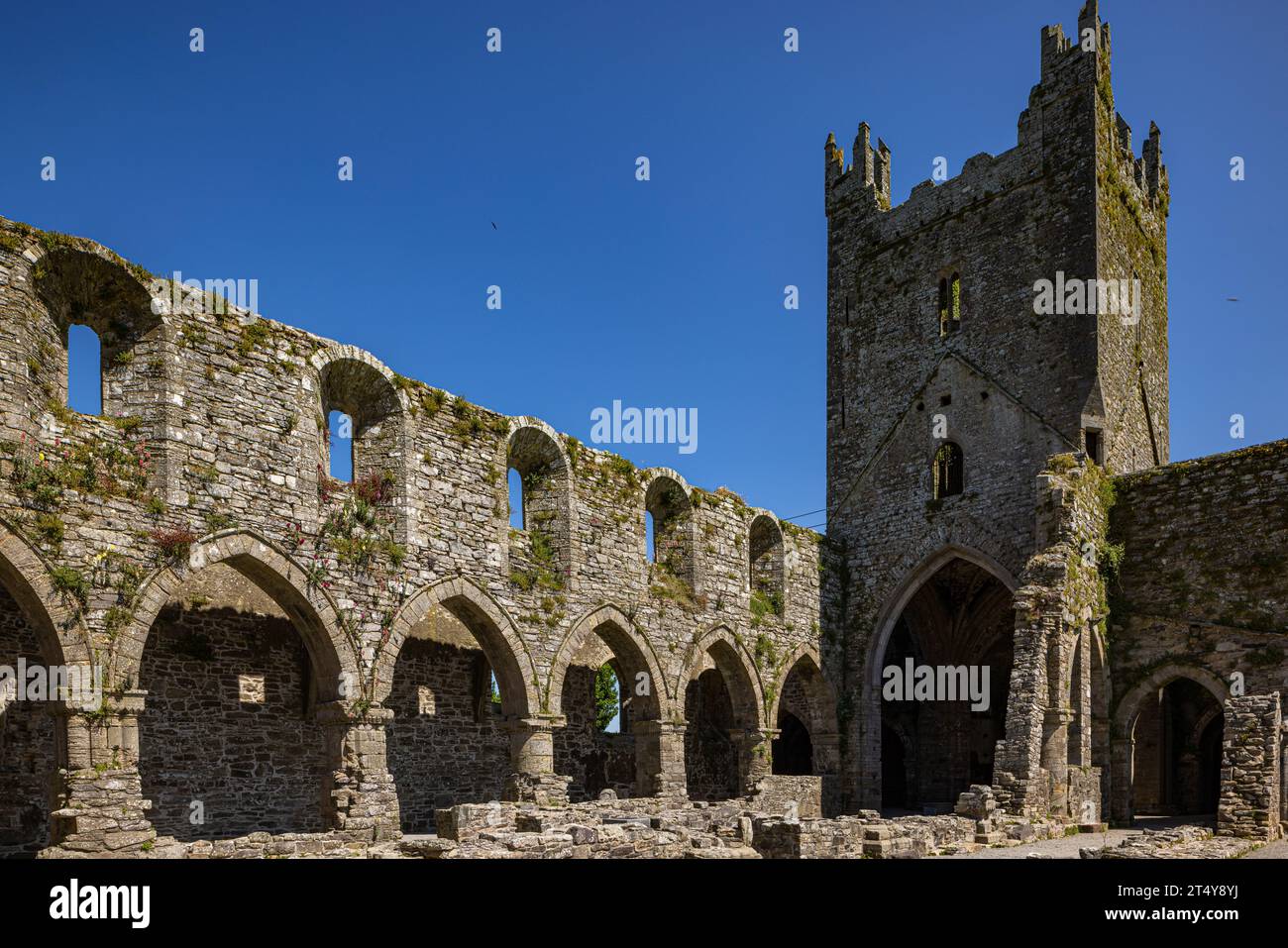 Jerpoint abbey hi-res stock photography and images - Alamy