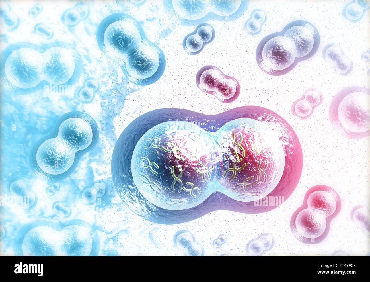 Human cells division. medical background 3d illustration Stock Photo ...