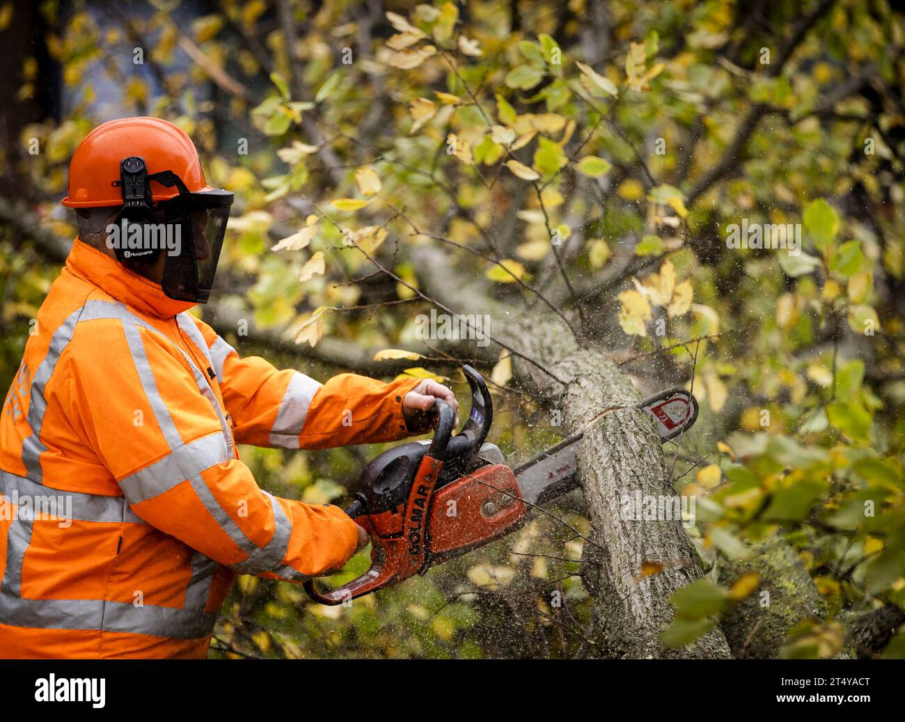The Hague, Netherlands. November 2, 2023. Firefighters clear a fallen ...
