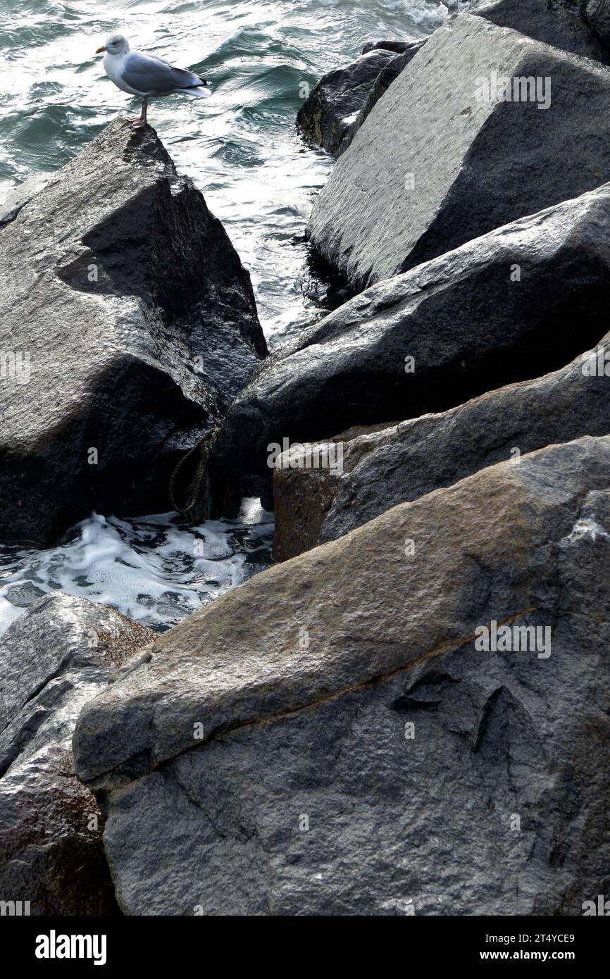 Rock armour against the East Pier at West Bay Stock Photo - Alamy