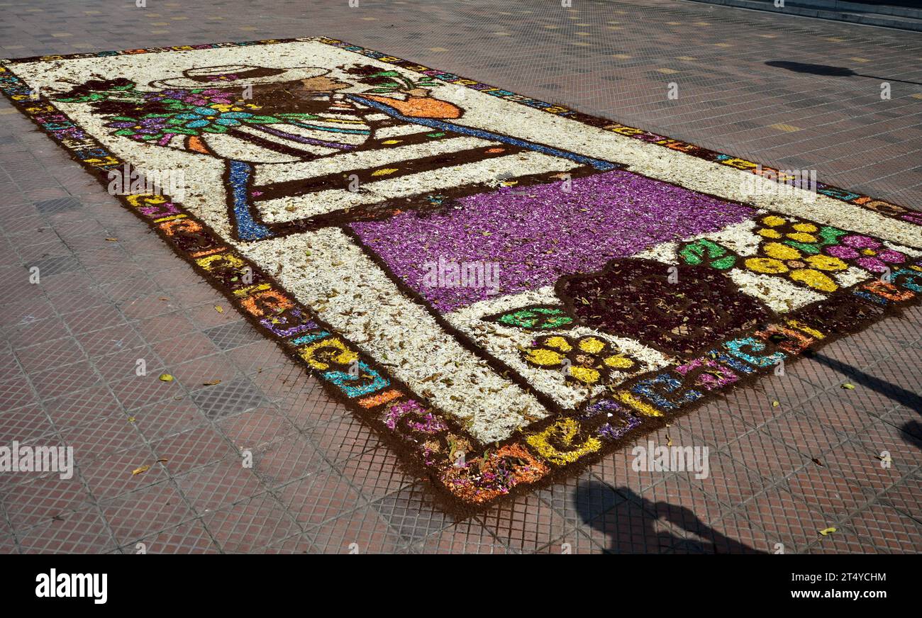 Colourful Flower Petal Pavement artwork. Miraflores, Peru Stock Photo ...