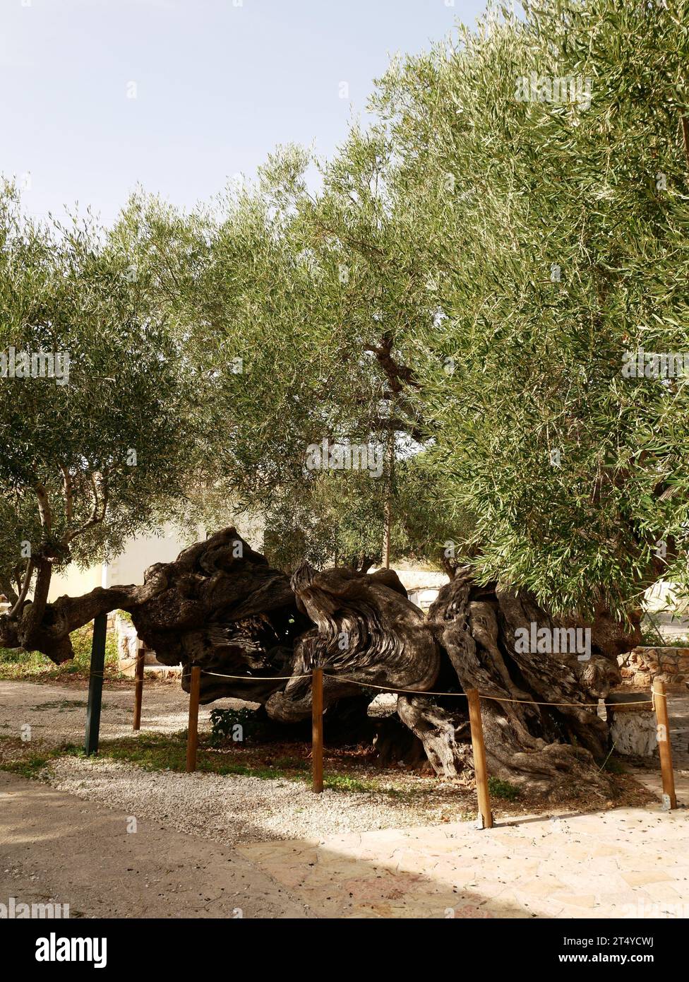 Exo chora zakynthos hi-res stock photography and images - Alamy