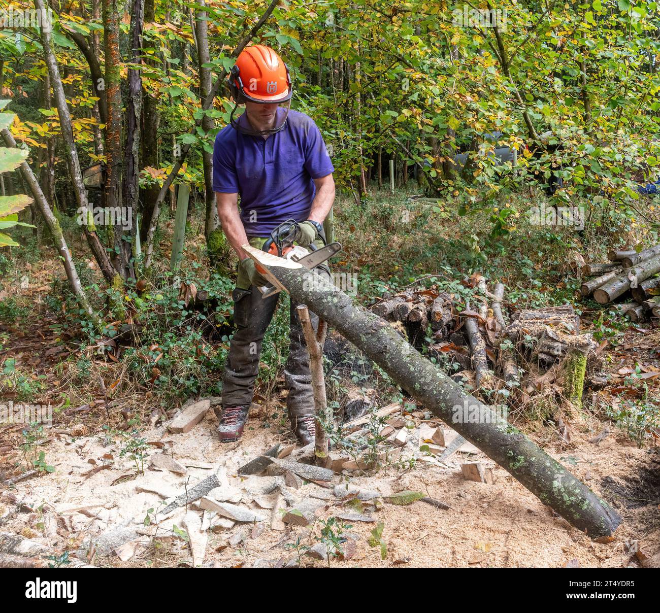 Man using electric chainsaw to make points on wooden fence posts in ...