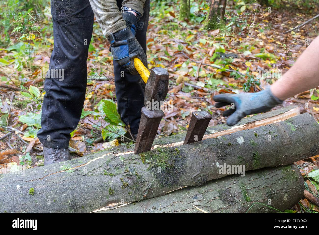 Tree trunk fence hi-res stock photography and images - Alamy