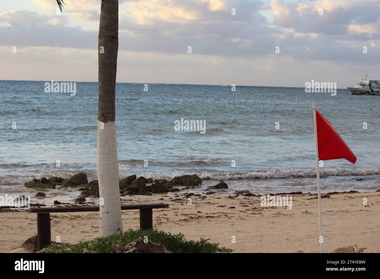 Lifeguards and Baywatch are always ready for coastal safety Lifeguards ...