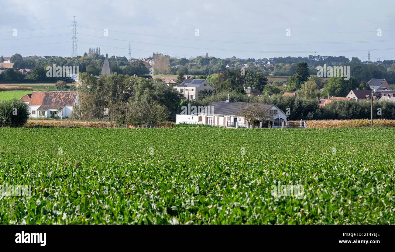 Asse, Flemish Brabant, Belgium, October 14, 2023 - The agriculture ...