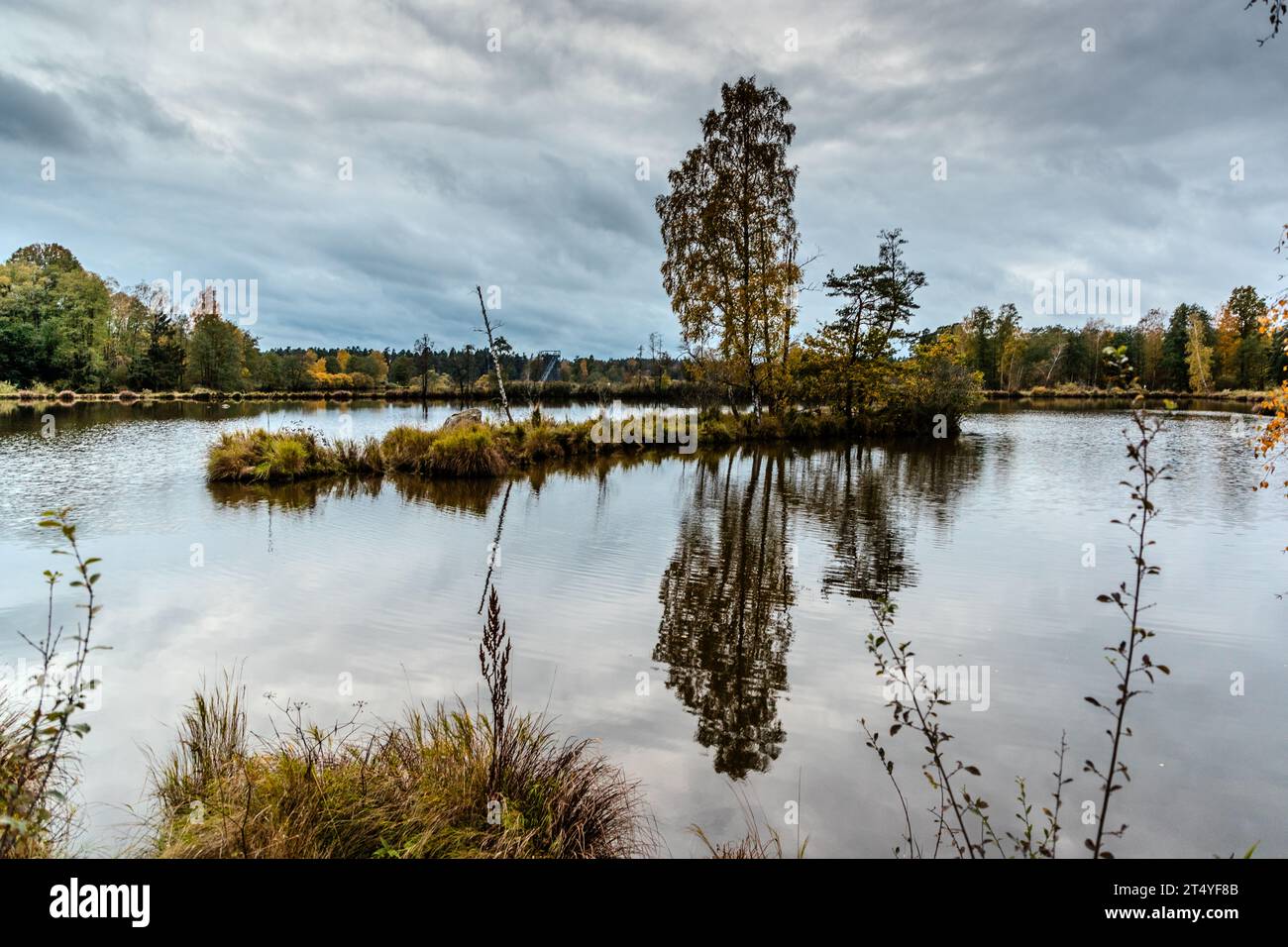 Waldnaab floodplains in the Upper Palatinate. Ponds created for fish ...