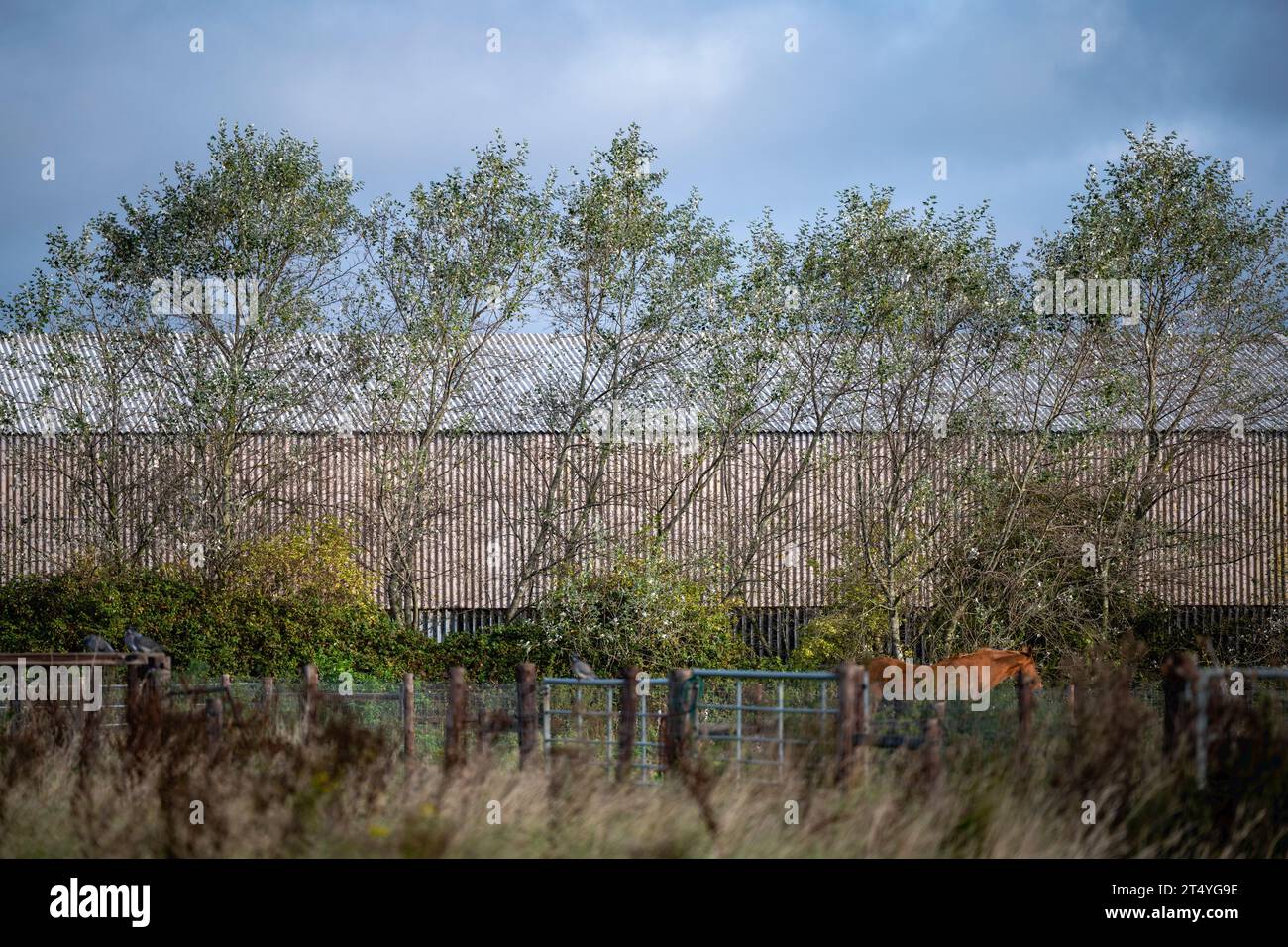 Large agricultural barn Stock Photo - Alamy