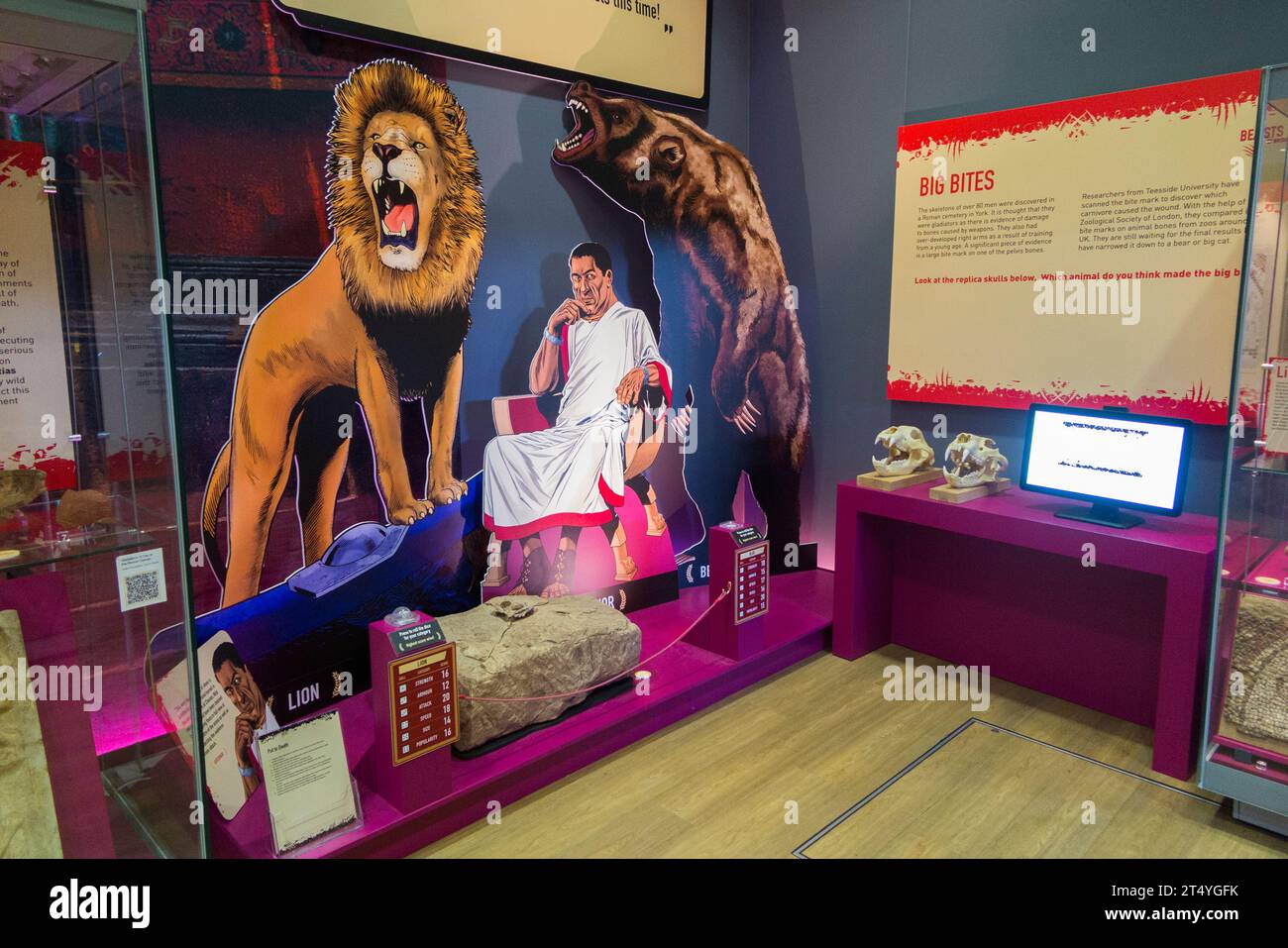 Roman games and gladiator information display to inform how an arena ...