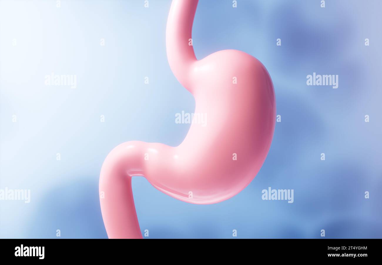 Human stomach with blue background, 3d rendering. 3D illustration Stock ...