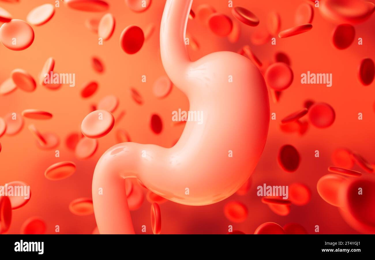 Human stomach and blood background, 3d rendering. 3D illustration Stock ...