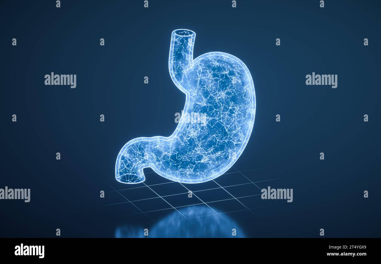 Stomach with blue technology structure, 3d rendering. 3D illustration ...