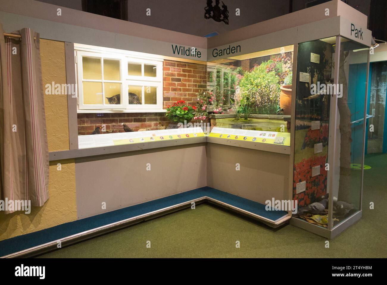 Permanent display of a typical domestic garden & animals / fauna ...