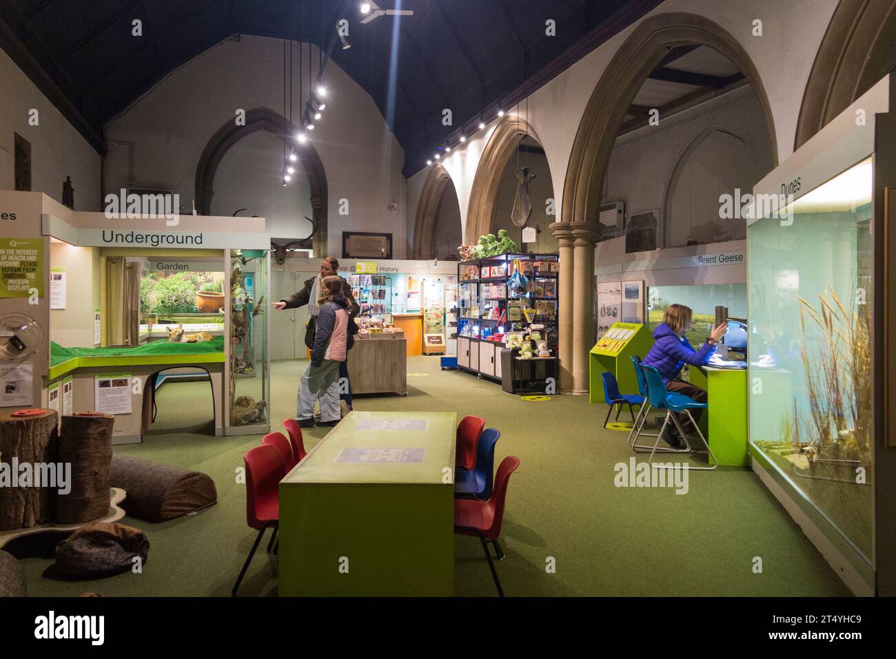 Display exhibition inside the Natural History Museum, High Street ...