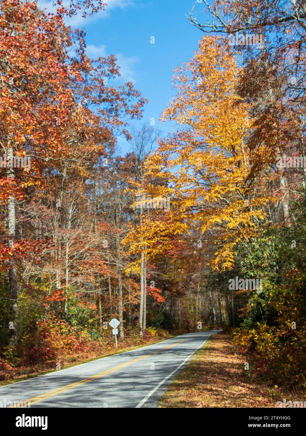 Fall colors in the Blue Ridge Mountains Stock Photo - Alamy