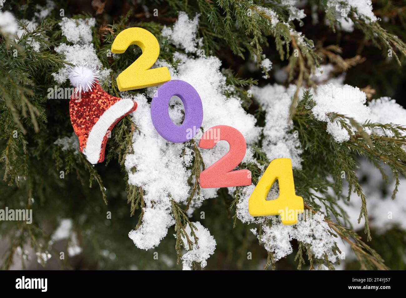 multi-colored numbers 2024, a toy Santa hat lie on a coniferous tree in ...