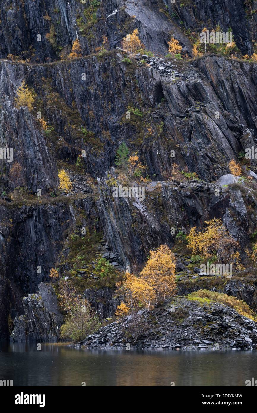 Ballachulish yellow hi-res stock photography and images - Alamy