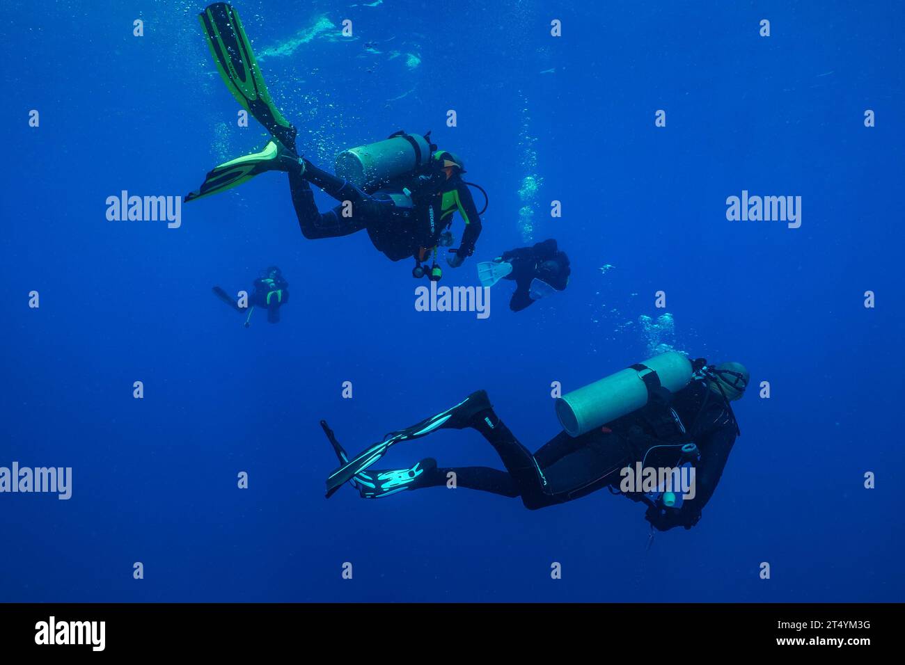 Scuba nosy be reef hi-res stock photography and images - Alamy