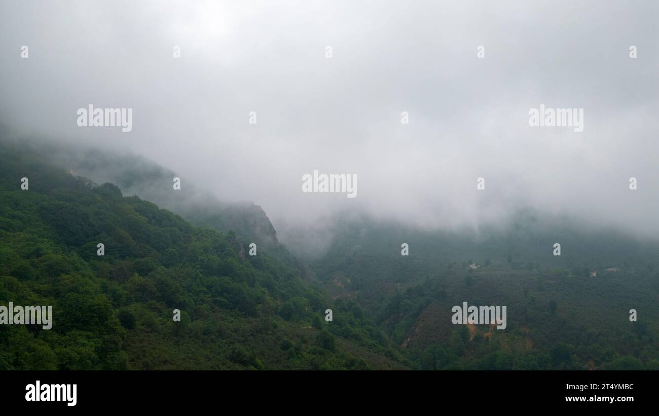 Fog settling between two mountains. Green natural forest at the foot of ...