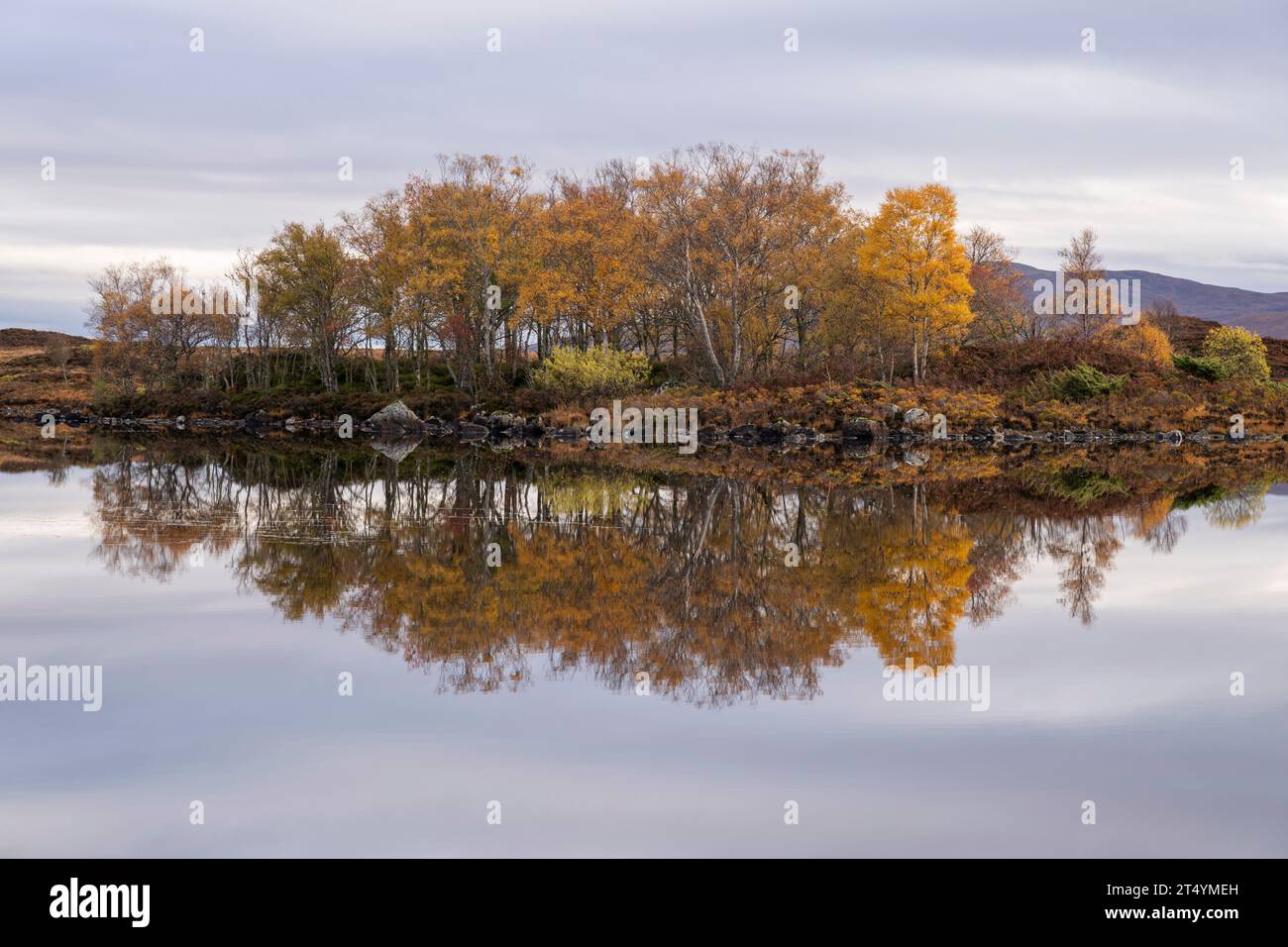Highlands loch trees hi-res stock photography and images - Alamy