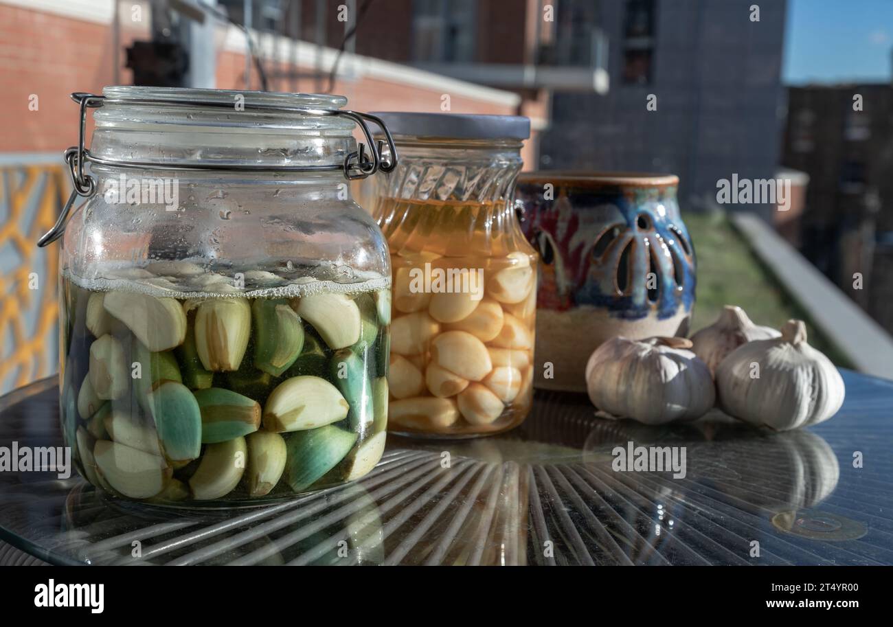Glass jars with Garlic pickled in Apple cider vinegar with Rock sugar ...