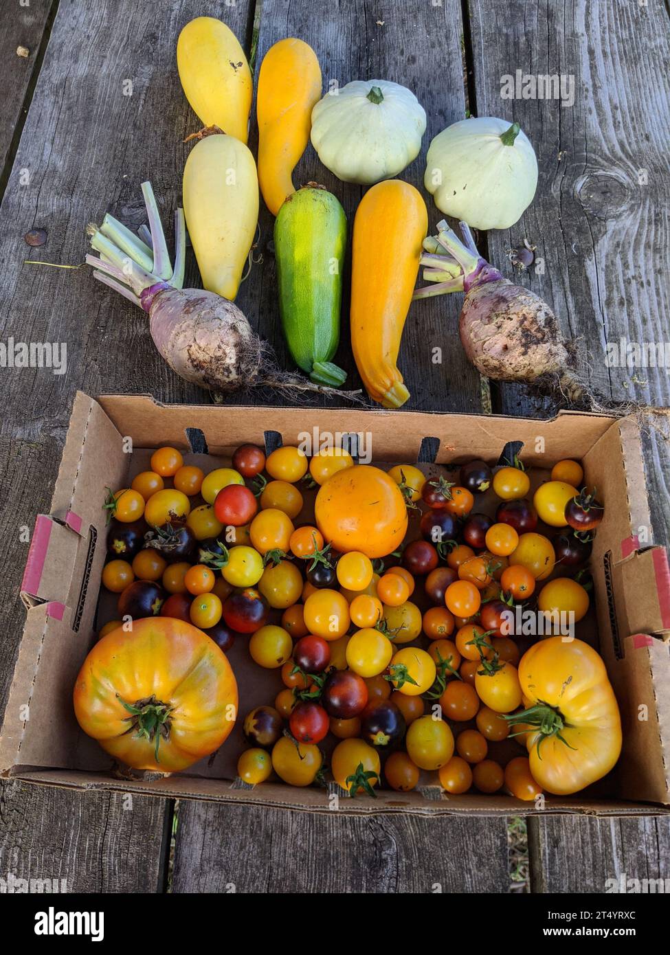 Table of tomatoes hi-res stock photography and images - Alamy