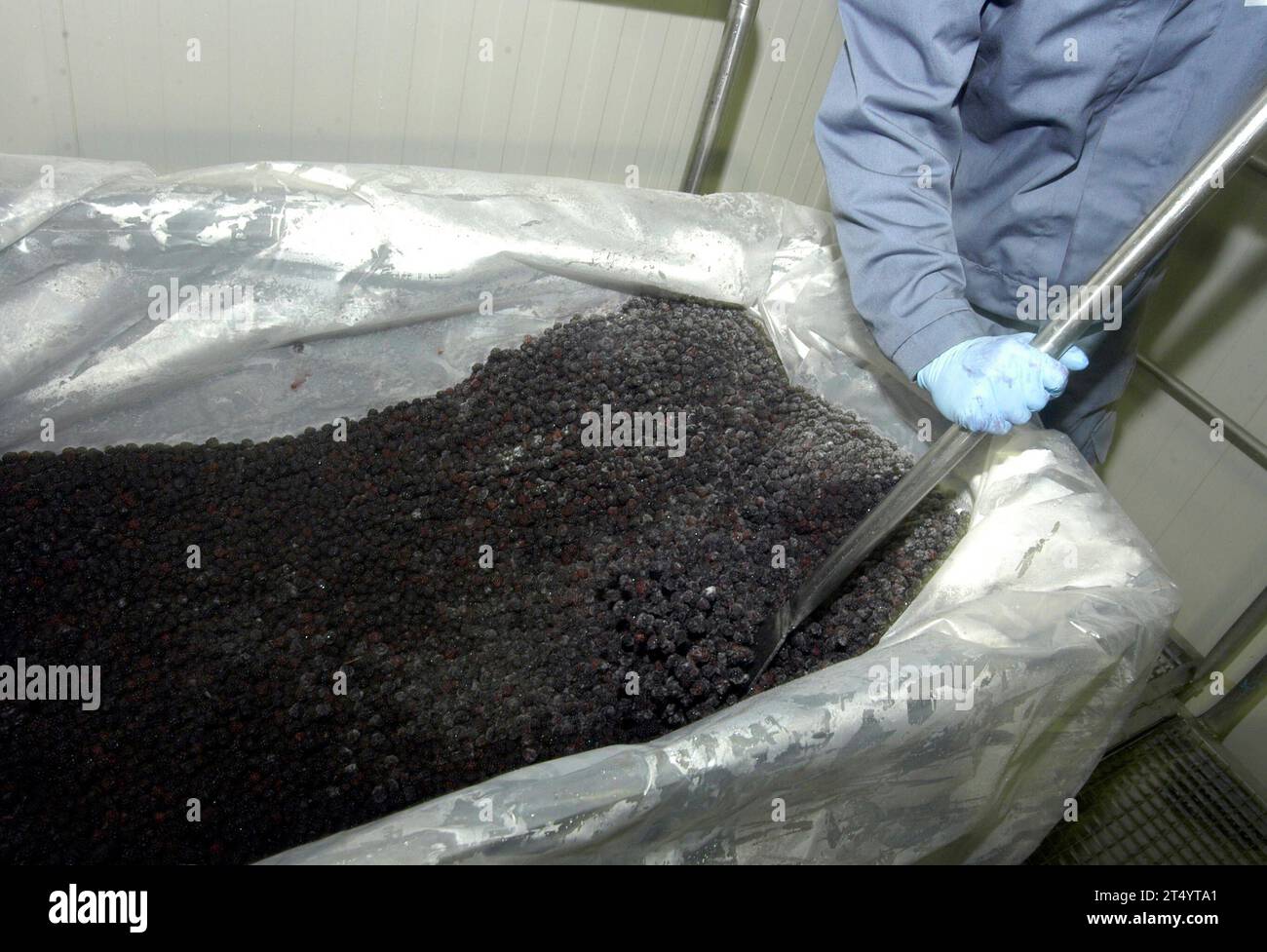 The Mass Production Of Food In The Food Industry Sector Salt Production ...