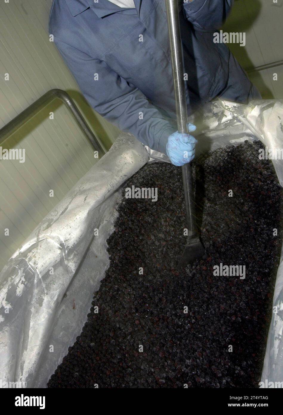 The Mass Production Of Food In The Food Industry Sector Salt Production ...