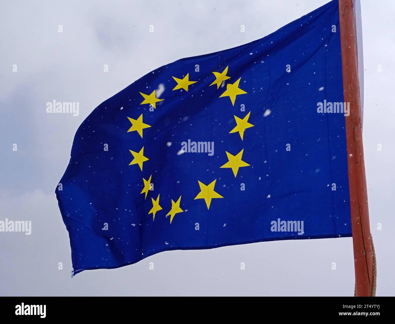 European Union flag, blue flag with yellow stars representing the EU ...