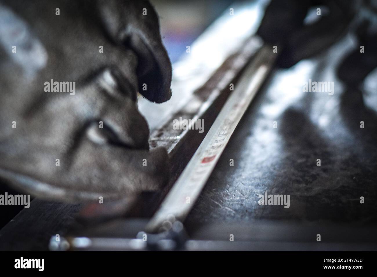 Worker metalworking workshop measuring metal hi-res stock photography ...