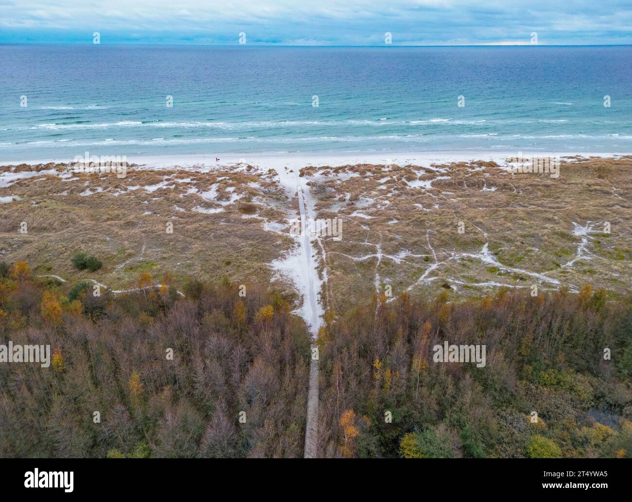 28 October 2023, Denmark, Dueodde: Autumn nature in the dunes of ...