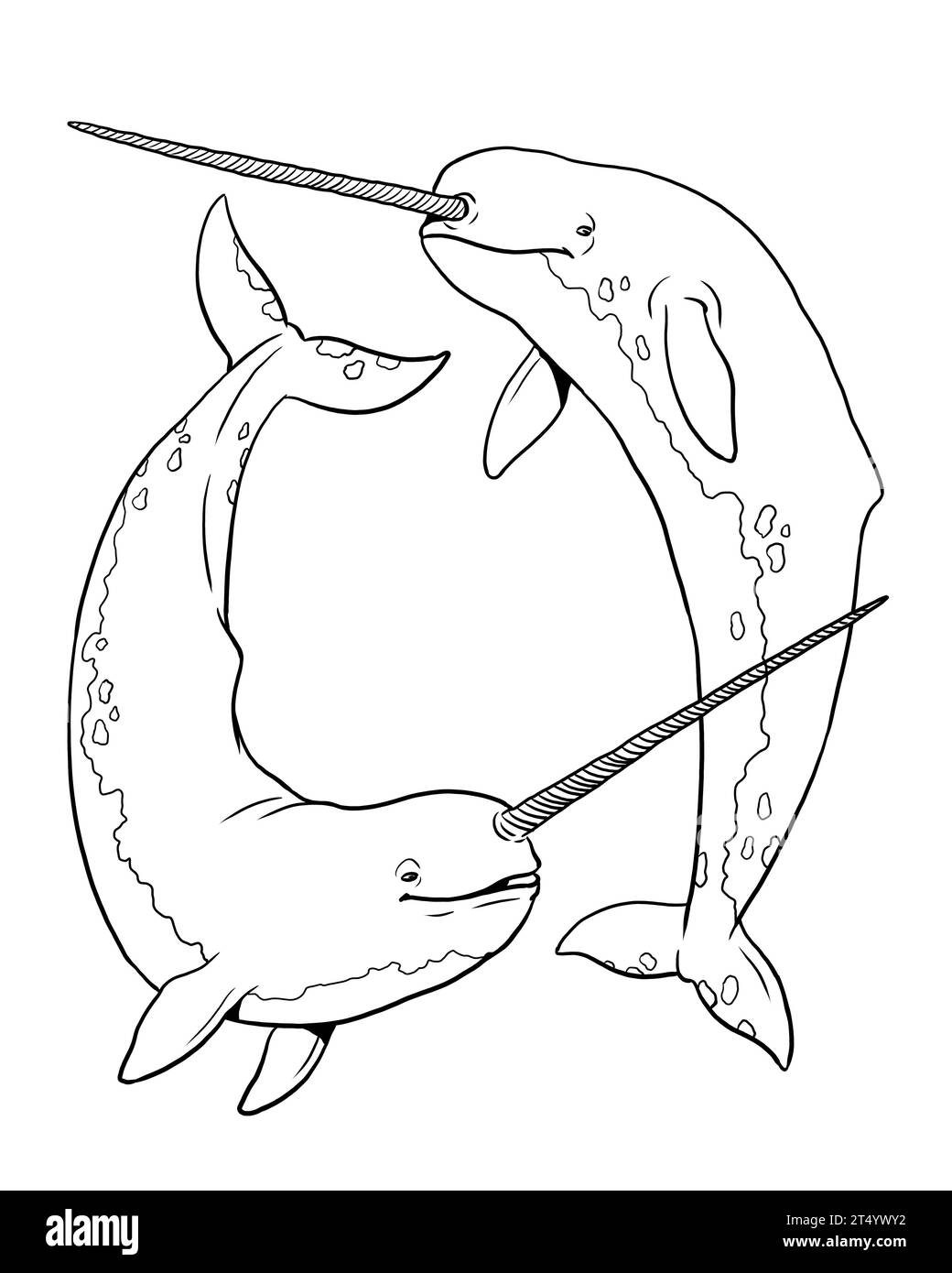 Narwhal to color in. Template for a coloring book with sea animals ...